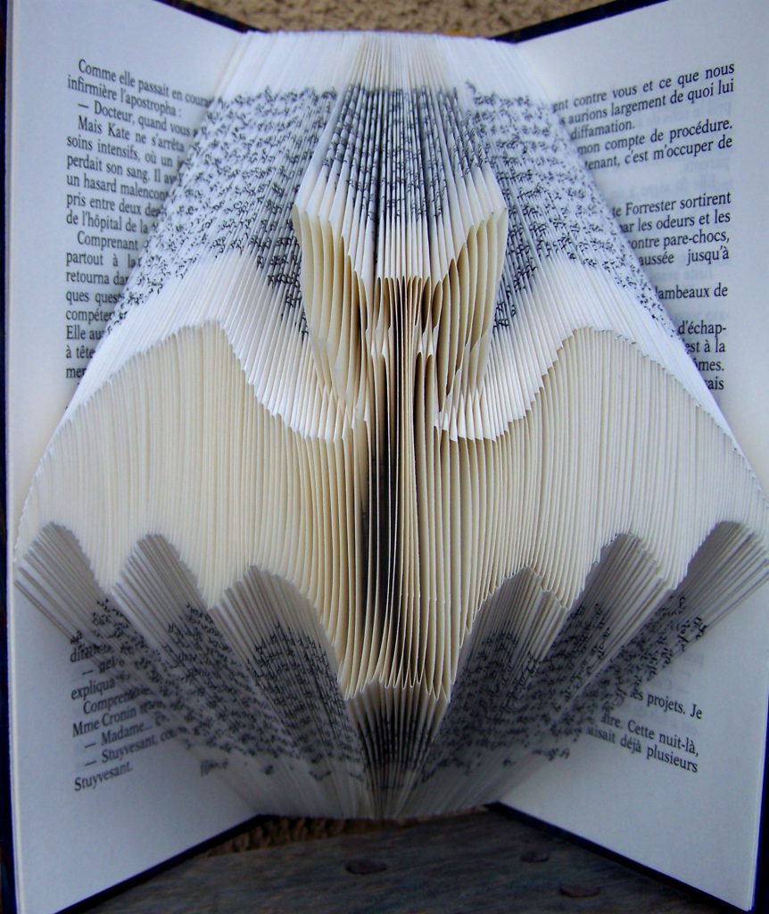 Livresplies.fr | Livres pliés, Folded books, tutoriels de pliage de ...