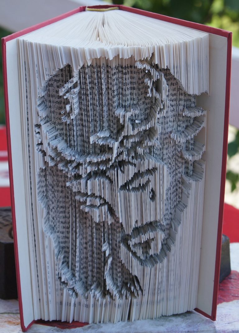 Livresplies.fr | Livres pliés, Folded books, tutoriels de pliage de ...