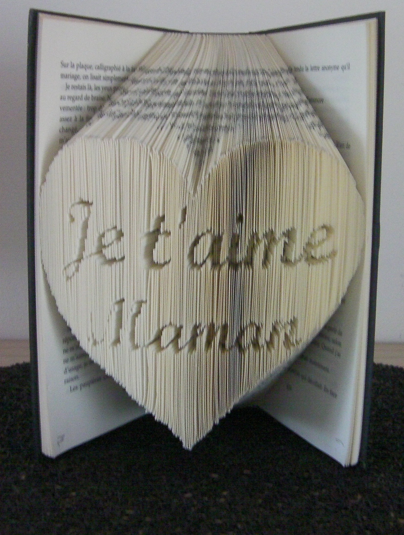 Livresplies.fr | Livres pliés, Folded books, tutoriels de pliage de ...